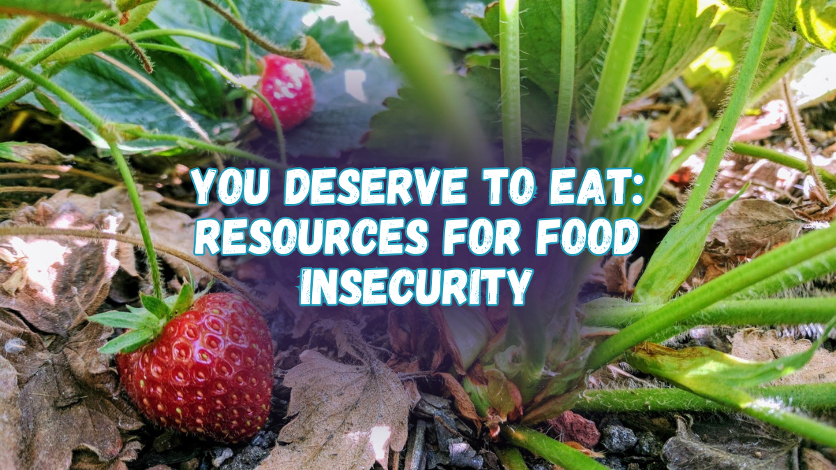 You deserve to eat: Resources for food insecurity