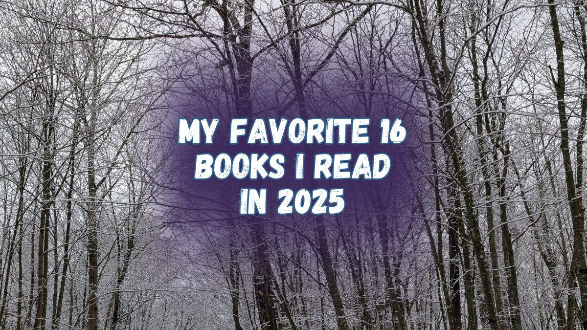 My favorite 16 books I read in 2025: find a good read