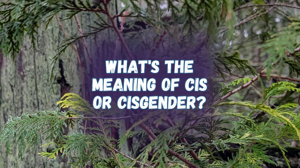 What does cis or cisgender mean?